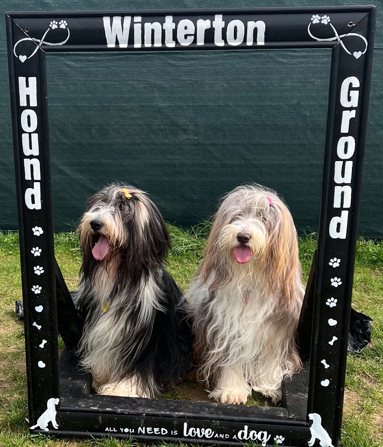 Gallery - Winterton Hound Ground
